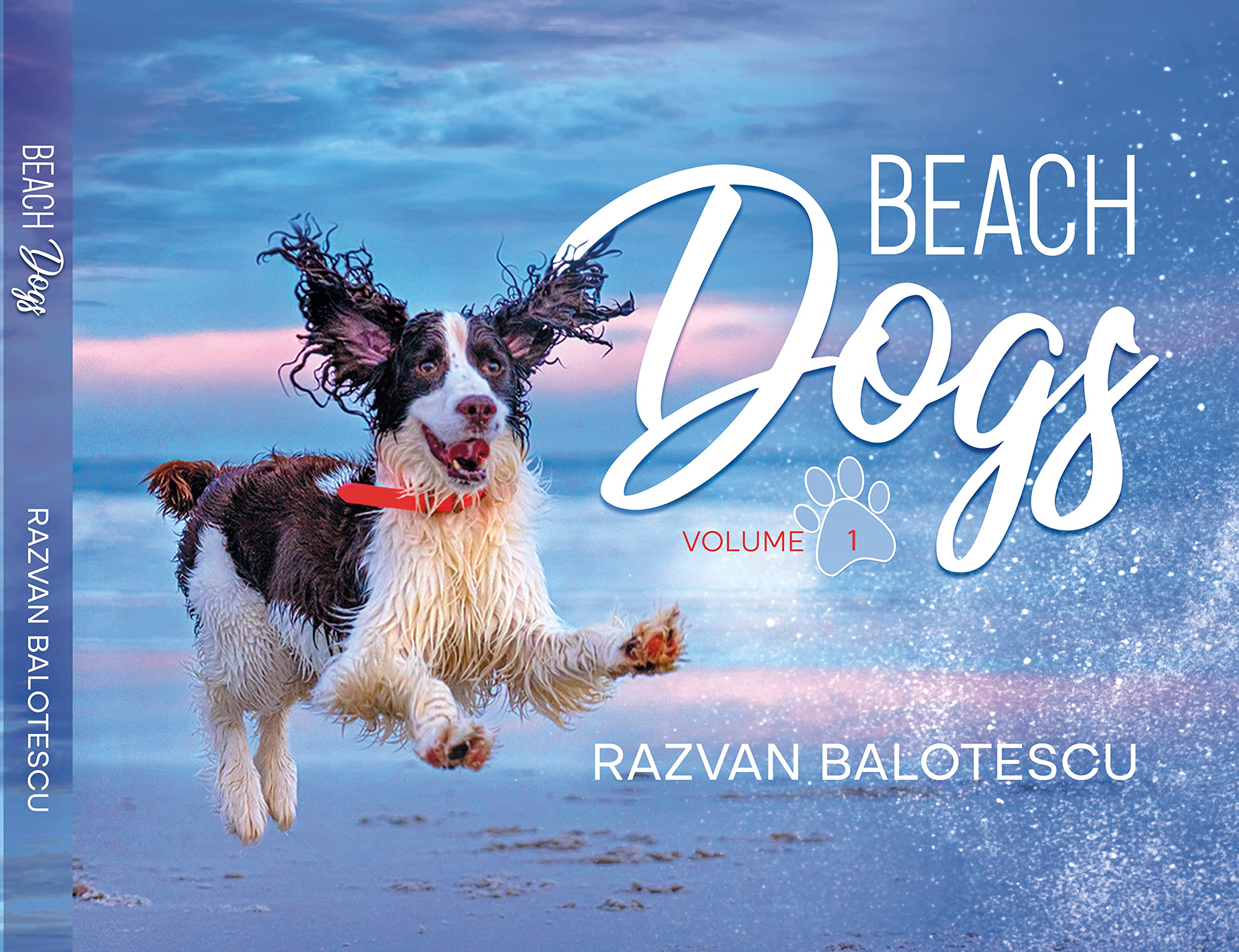 BEACH DOGS: A Coffee Table Photography Book of Joy for Dog Lovers