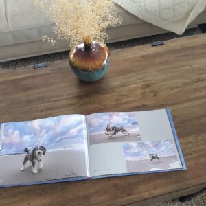 BEACH DOGS: A Coffee Table Photography Book of Joy for Dog Lovers