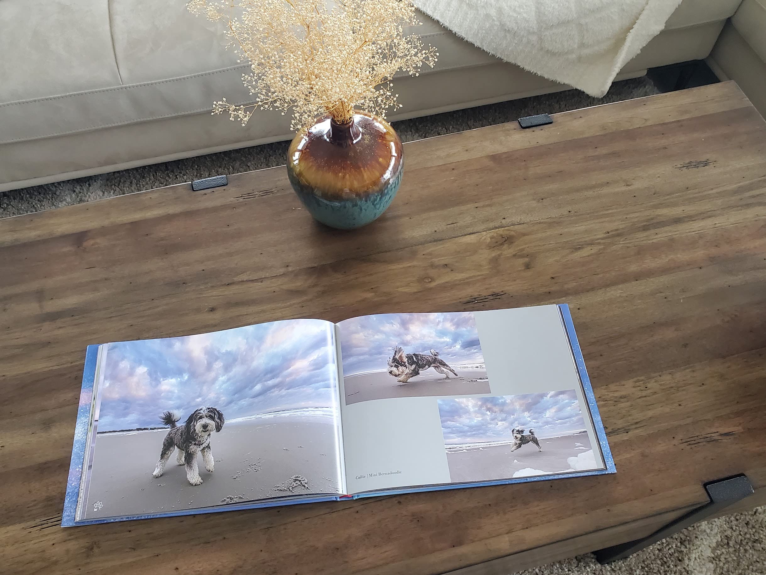 BEACH DOGS: A Coffee Table Photography Book of Joy for Dog Lovers