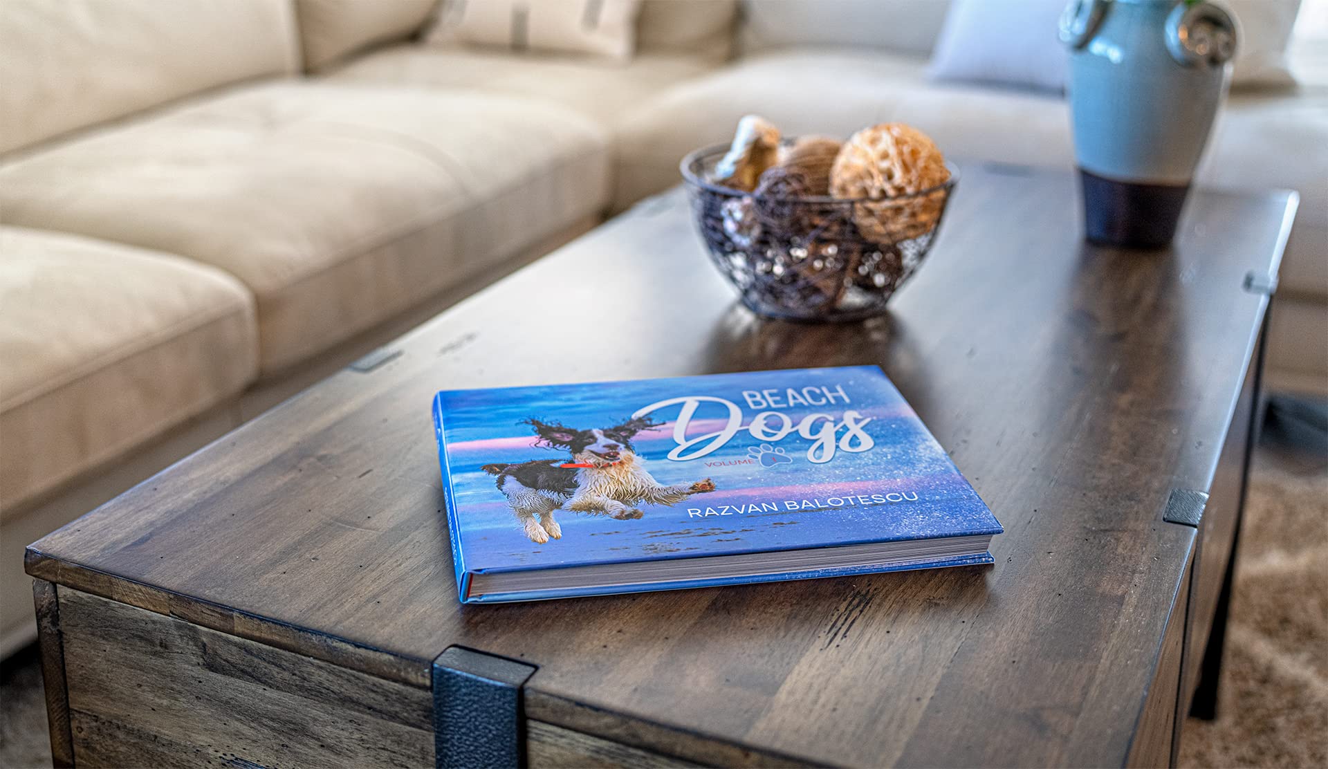 BEACH DOGS: A Coffee Table Photography Book of Joy for Dog Lovers