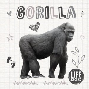 gorilla (life cycles)