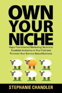 own your niche: hype-free internet marketing tactics to establish authority in your field and promote your service-based business