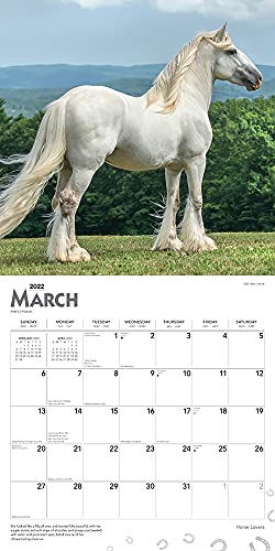 Horse Lovers 2022 12 x 12 Inch Monthly Square Wall Calendar with Foil Stamped Cover, Animals Equestrian