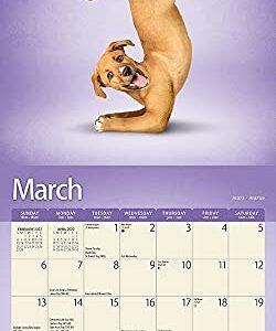 Yoga Puppies OFFICIAL 2022 7 x 7 Inch Monthly Mini Wall Calendar, Animals Humor Puppy Dogs Canine