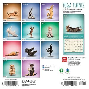 Yoga Puppies OFFICIAL 2022 7 x 7 Inch Monthly Mini Wall Calendar, Animals Humor Puppy Dogs Canine