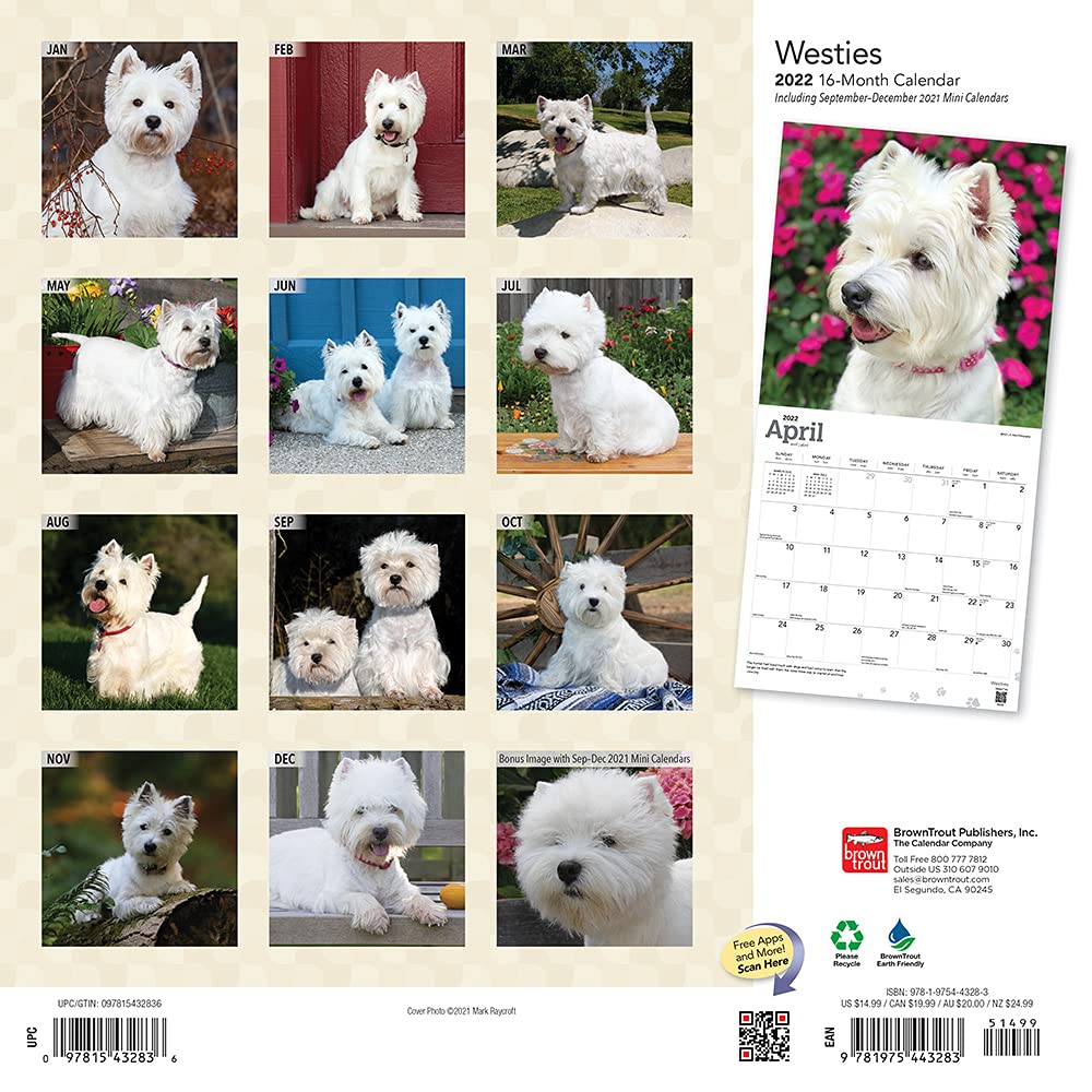 West Highland White Terriers 2022 12 x 12 Inch Monthly Square Wall Calendar with Foil Stamped Cover, Animals Dog Breeds Puppies DogDays