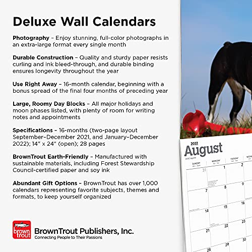 Kitchen 2022 14 x 12 Inch Monthly Deluxe Wall Calendar with Foil Stamped Cover, Cooking Home