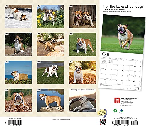 For the Love of Bulldogs 2022 14 x 12 Inch Monthly Deluxe Wall Calendar with Foil Stamped Cover, Animal Dog Breeds DogDays