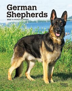 german shepherds 2022 6 x 7.75 inch spiral-bound wire-o weekly engagement planner calendar | new full-color image every week | animals dog breeds pets