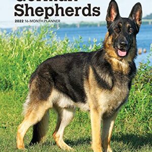 German Shepherds 2022 6 x 7.75 Inch Spiral-Bound Wire-O Weekly Engagement Planner Calendar | New Full-Color Image Every Week | Animals Dog Breeds Pets