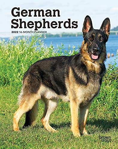 German Shepherds 2022 6 x 7.75 Inch Spiral-Bound Wire-O Weekly Engagement Planner Calendar | New Full-Color Image Every Week | Animals Dog Breeds Pets