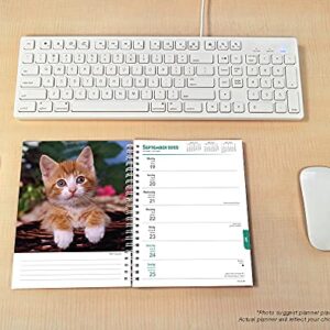 German Shepherds 2022 6 x 7.75 Inch Spiral-Bound Wire-O Weekly Engagement Planner Calendar | New Full-Color Image Every Week | Animals Dog Breeds Pets