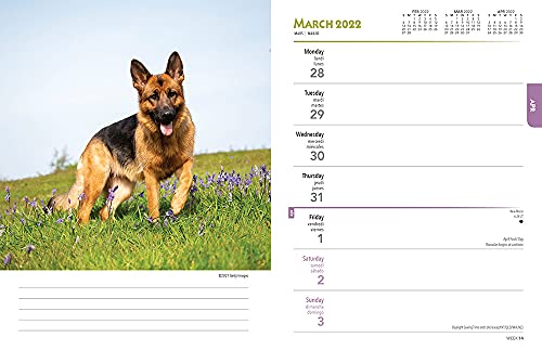 German Shepherds 2022 6 x 7.75 Inch Spiral-Bound Wire-O Weekly Engagement Planner Calendar | New Full-Color Image Every Week | Animals Dog Breeds Pets