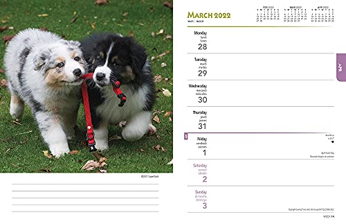 I Love Puppies 2022 6 x 7.75 Inch Spiral-Bound Wire-O Weekly Engagement Planner Calendar | New Full-Color Image Every Week | Animals Dog Breeds Puppy