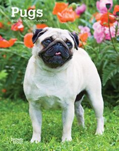 pugs 2022 6 x 7.75 inch spiral-bound wire-o weekly engagement planner calendar | new full-color image every week | animals dog breeds pets