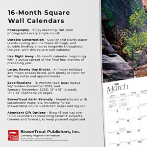 National Parks | 2023 12 x 24 Inch Monthly Square Wall Calendar | Foil Stamped Cover | BrownTrout | Scenic Yosemite Yellowstone Nature