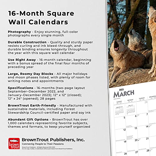 Wolves | 2023 12 x 24 Inch Monthly Square Wall Calendar | Foil Stamped Cover | BrownTrout | Wildlife Animals