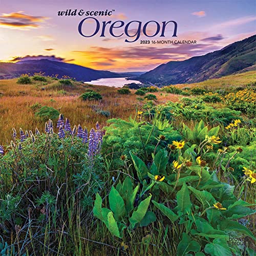 Oregon Wild & Scenic | 2023 12 x 24 Inch Monthly Square Wall Calendar | BrownTrout | USA United States of America Pacific West State Nature