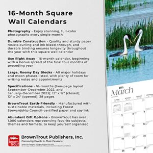 Oregon Wild & Scenic | 2023 12 x 24 Inch Monthly Square Wall Calendar | BrownTrout | USA United States of America Pacific West State Nature