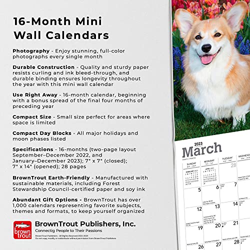 Welsh Corgis | 2023 7 x 14 Inch Monthly Mini Wall Calendar | BrownTrout | Animals Dog Breeds DogDays