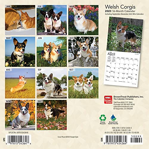 Welsh Corgis | 2023 7 x 14 Inch Monthly Mini Wall Calendar | BrownTrout | Animals Dog Breeds DogDays