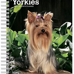 Yorkshire Terriers | 2023 6 x 7.75 Inch Spiral-Bound Wire-O Weekly Engagement Planner Calendar | New Full-Color Image Every Week | BrownTrout | Yorkies Dog Breeds DogDays