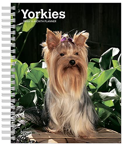 Yorkshire Terriers | 2023 6 x 7.75 Inch Spiral-Bound Wire-O Weekly Engagement Planner Calendar | New Full-Color Image Every Week | BrownTrout | Yorkies Dog Breeds DogDays