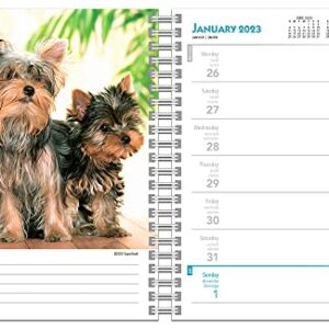 Yorkshire Terriers | 2023 6 x 7.75 Inch Spiral-Bound Wire-O Weekly Engagement Planner Calendar | New Full-Color Image Every Week | BrownTrout | Yorkies Dog Breeds DogDays