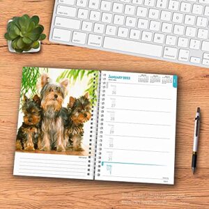 Yorkshire Terriers | 2023 6 x 7.75 Inch Spiral-Bound Wire-O Weekly Engagement Planner Calendar | New Full-Color Image Every Week | BrownTrout | Yorkies Dog Breeds DogDays