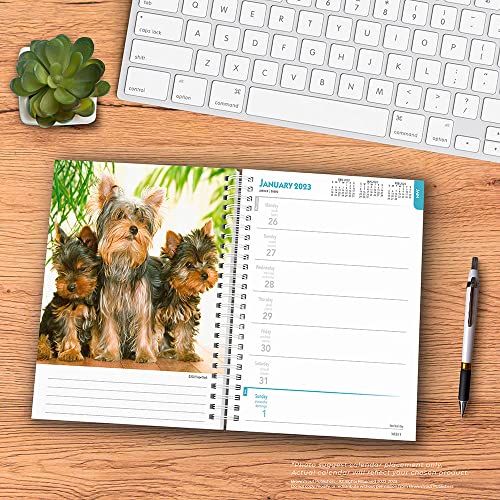 Yorkshire Terriers | 2023 6 x 7.75 Inch Spiral-Bound Wire-O Weekly Engagement Planner Calendar | New Full-Color Image Every Week | BrownTrout | Yorkies Dog Breeds DogDays