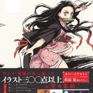 DEMON SLAYER ANIME - COLLECTION D'ILLUSTRATIONS (ARTBOOK VO JAPONAIS)