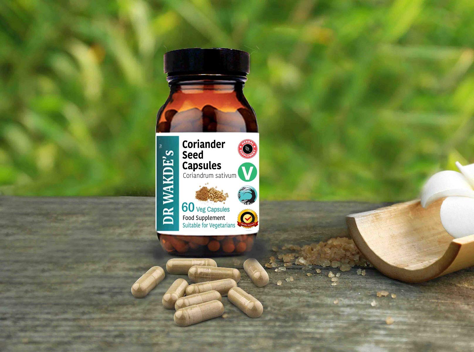 DR WAKDE'S Coriander Seed Capsules (60 Veg Caps, Plant-Based Supplement, Ayurvedic Herb, All Natural, Vegan)