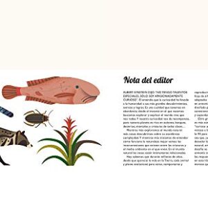 El Mundo natural (El libro Océano de…) (Spanish Edition)