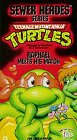 teenage mutant ninja turtles: raphael meets his match [vhs]