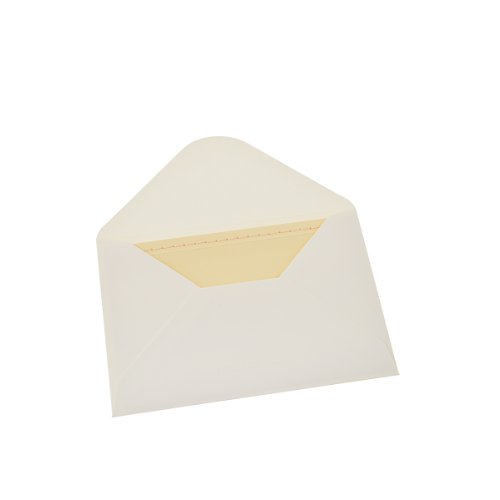 Moleskine Journey Note Card with Envelope, (3.5" x 5.5") Plain/Blank, Frangipane Yellow