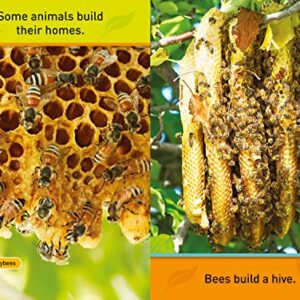 National Geographic Kids Readers: Animal Homes (Prereader)