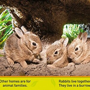 National Geographic Kids Readers: Animal Homes (Prereader)