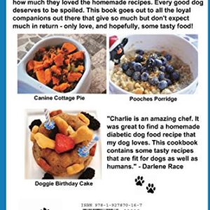 The Healthy Homemade Dog Food Cookbook: Over 60 "Beg-Worthy" Quick and Easy Dog Treat Recipes: Includes vegetarian, gluten-free and special occasion ... dog health and nutritional considerations