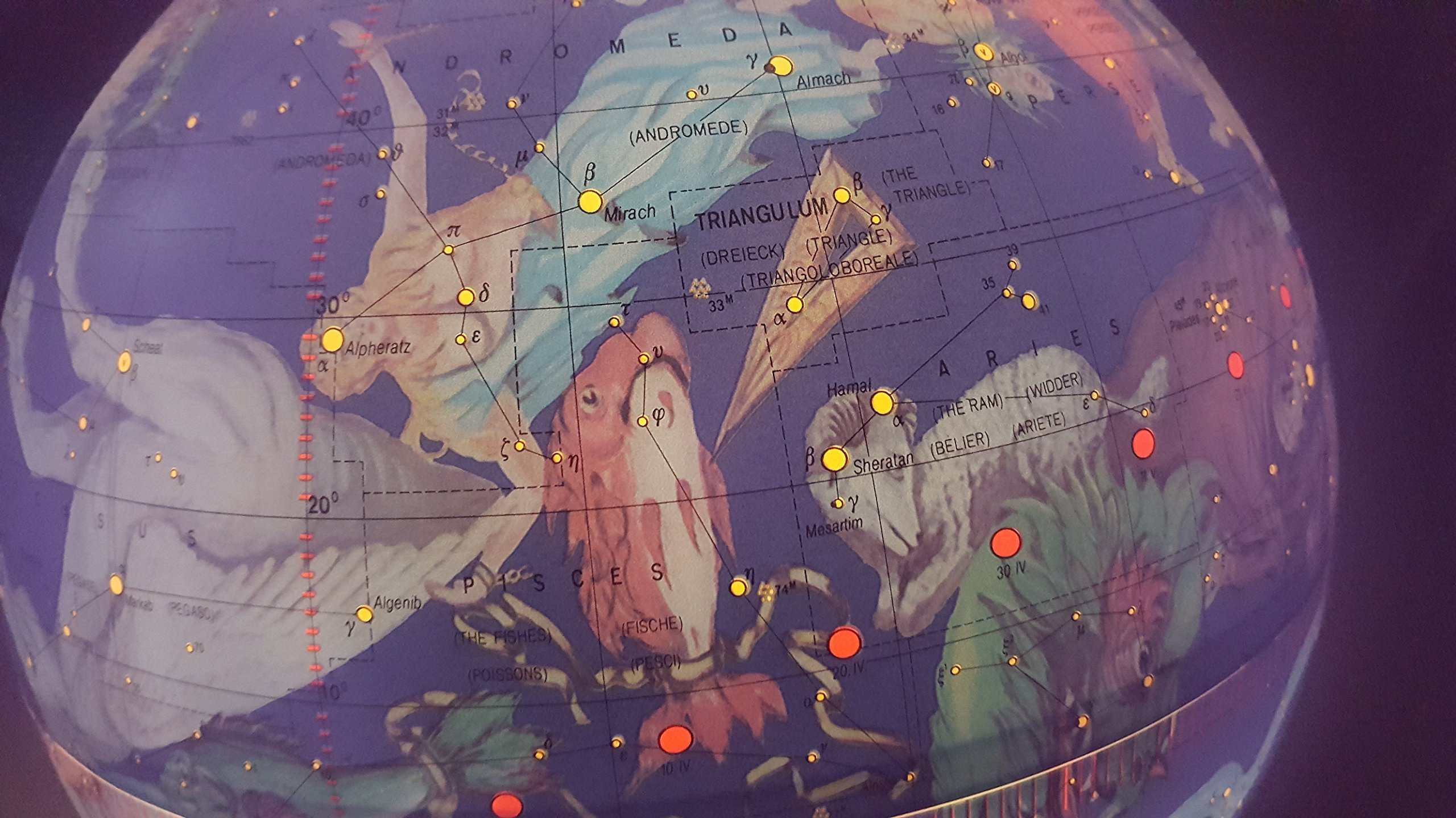 Replogle Constellation Illuminated Globe, Dual map, Detailed sky map, Turn the Light ON to see all of the Constellations that represent 12 different Zodiac Signs(12"/30cm diameter)