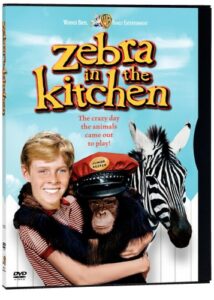 zebra in the kitchen [dvd]