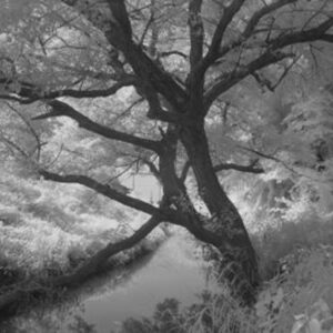 Hoya 77mm R-72 Infrared Filter