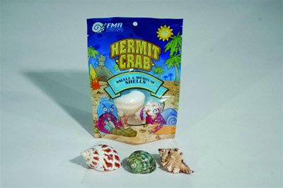 Florida Marine Research SFM33332 Hermit Crab Shell, Medium, 3-Piece per Pack