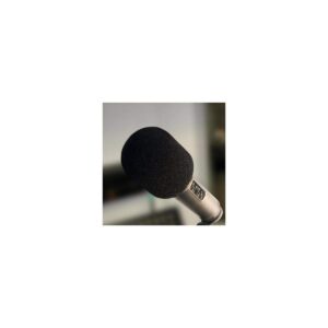 Rode WS2 Microphone Pop Filter/Wind Shield for NT1-A, NT2-A, NT1000, NT2000, NTK, K2 and Broadcaster Microphones