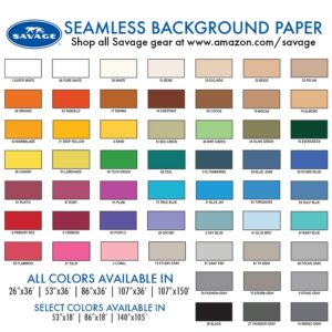 Savage Seamless Background Paper - #20 Black (53 in x 36 ft)