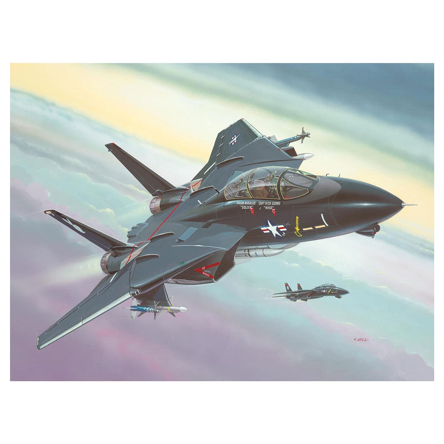 Revell 04029 F14A Tomcat Bunny (Black)