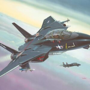 Revell 04029 F14A Tomcat Bunny (Black)