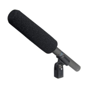 Audio-Technica AT897 Line/Gradient Shotgun Condenser Microphone Black