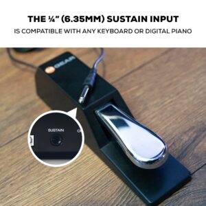 M-Audio SP-2 - Universal Sustain Pedal with Piano Style Action For MIDI Keyboards, Digital Pianos & More