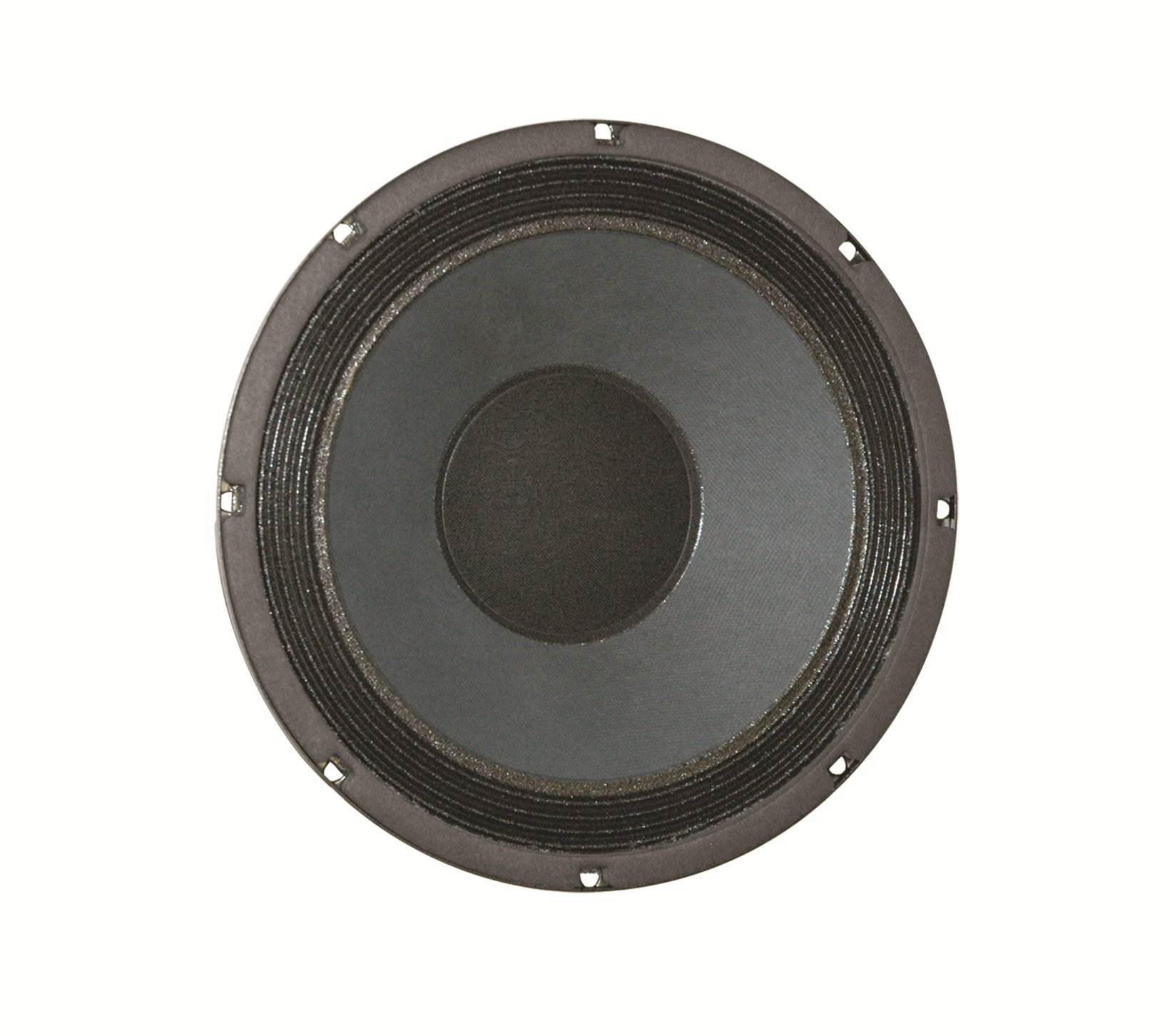 Legend BP102 10" Bass Amplifier Speaker, 400 Watts at 8 Ohms