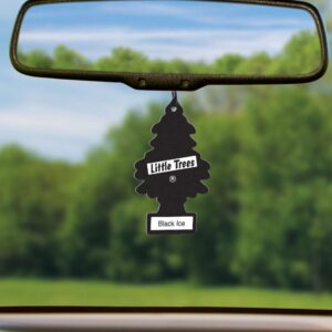 Little-Trees Black Ice Little Tree Air Freshener- 24 Pack